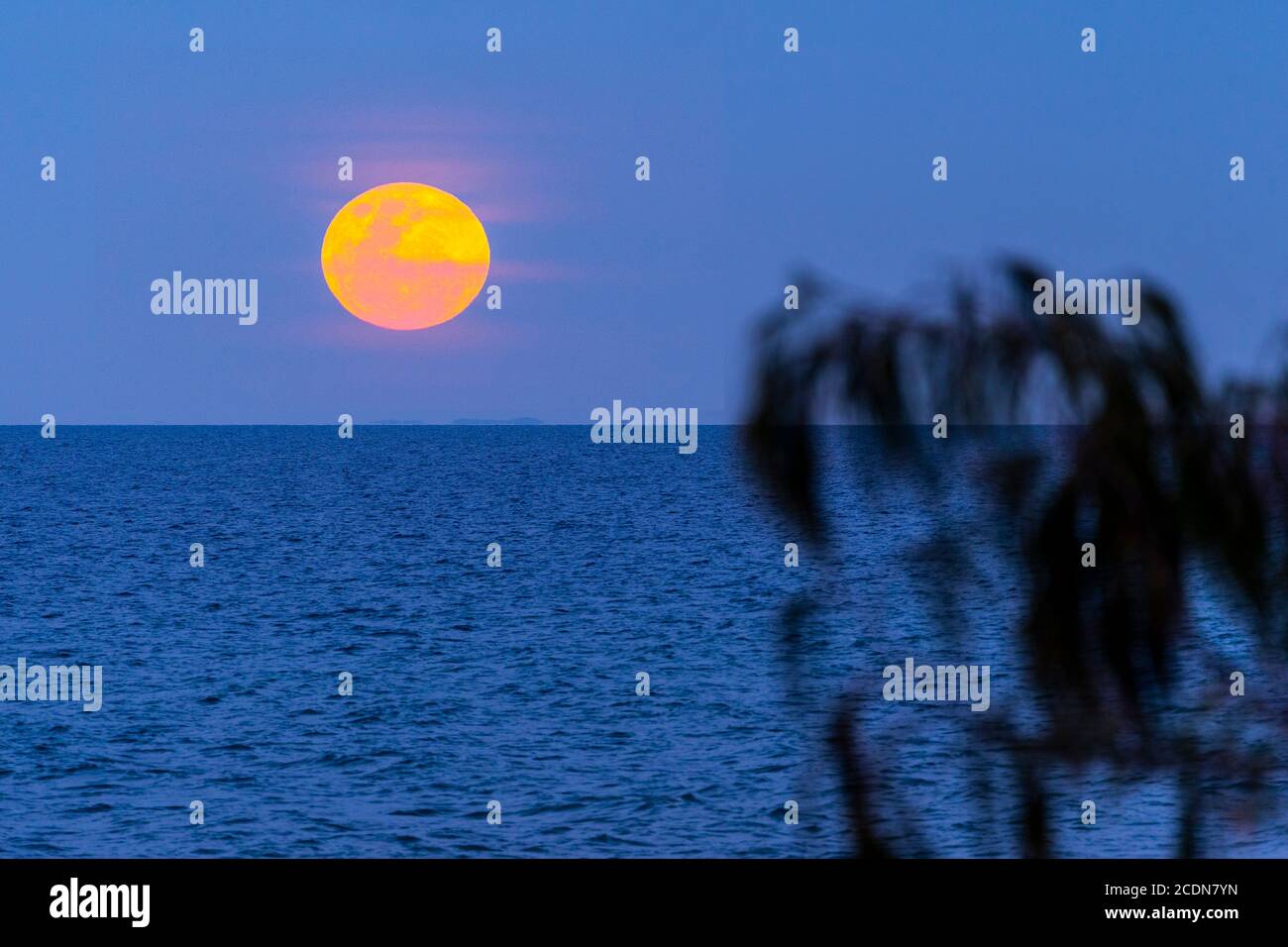 Moon rising over the ocean, Queensland Australia Stock Photo - Alamy
