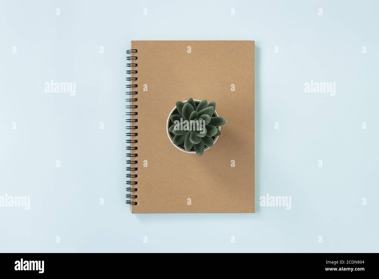 Brown Cover Spiral Notebook or Spring Notebook in Unlined Type and ...
