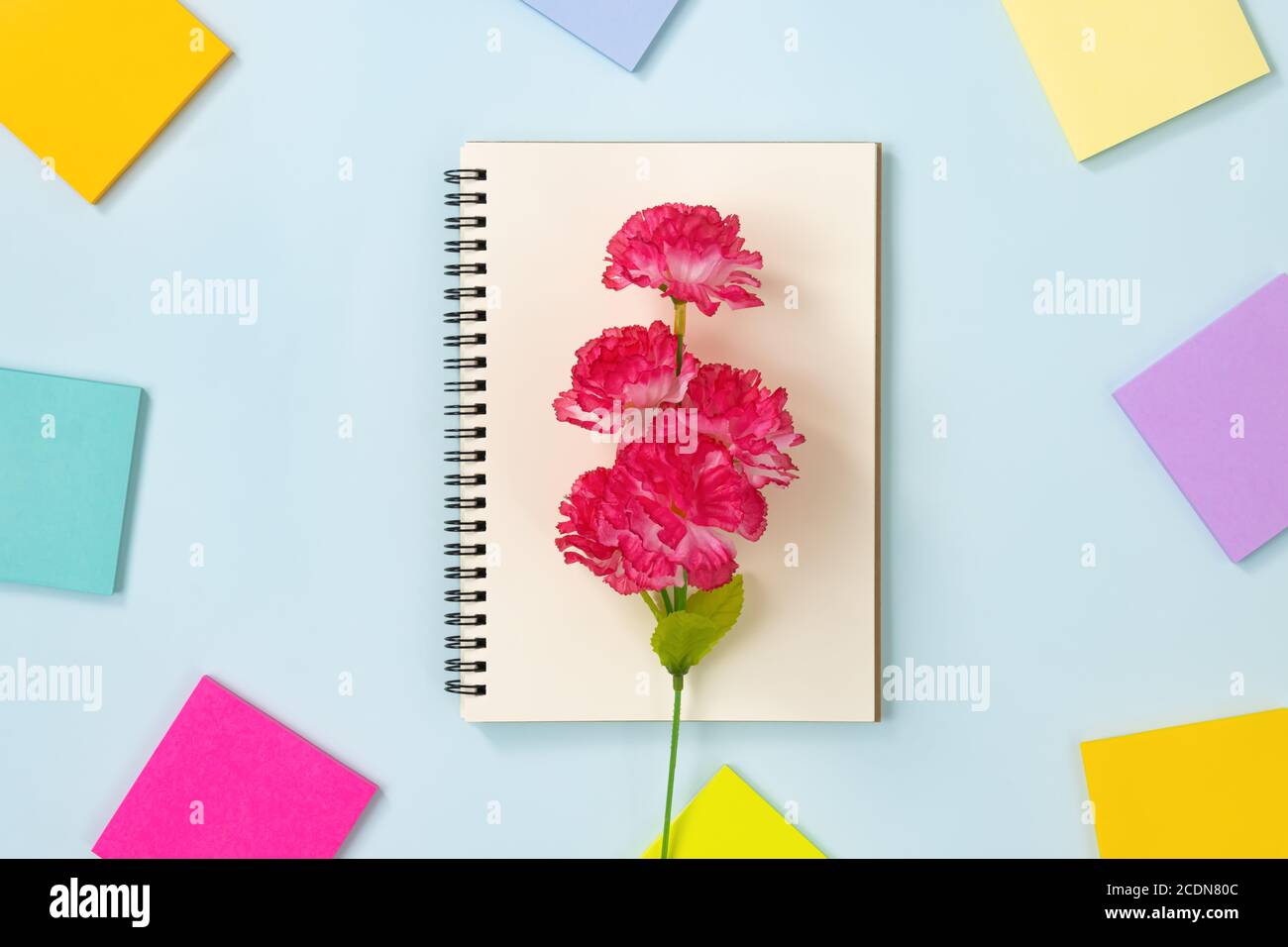 Spiral Notebook or Spring Notebook in Unlined Type and Multi Color ...