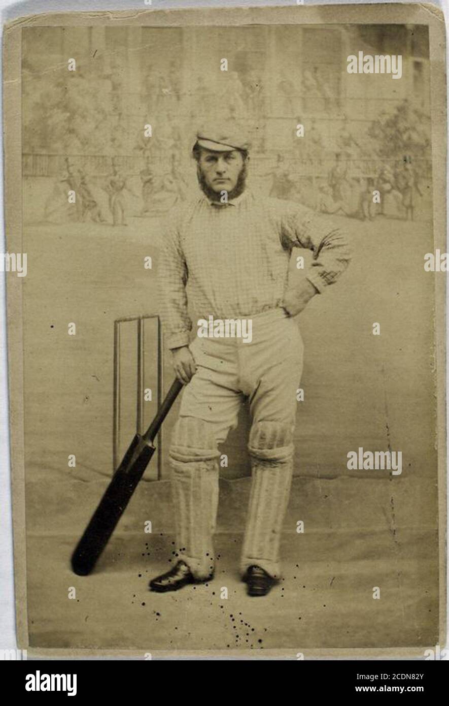 Old cricket player hi-res stock photography and images - Alamy