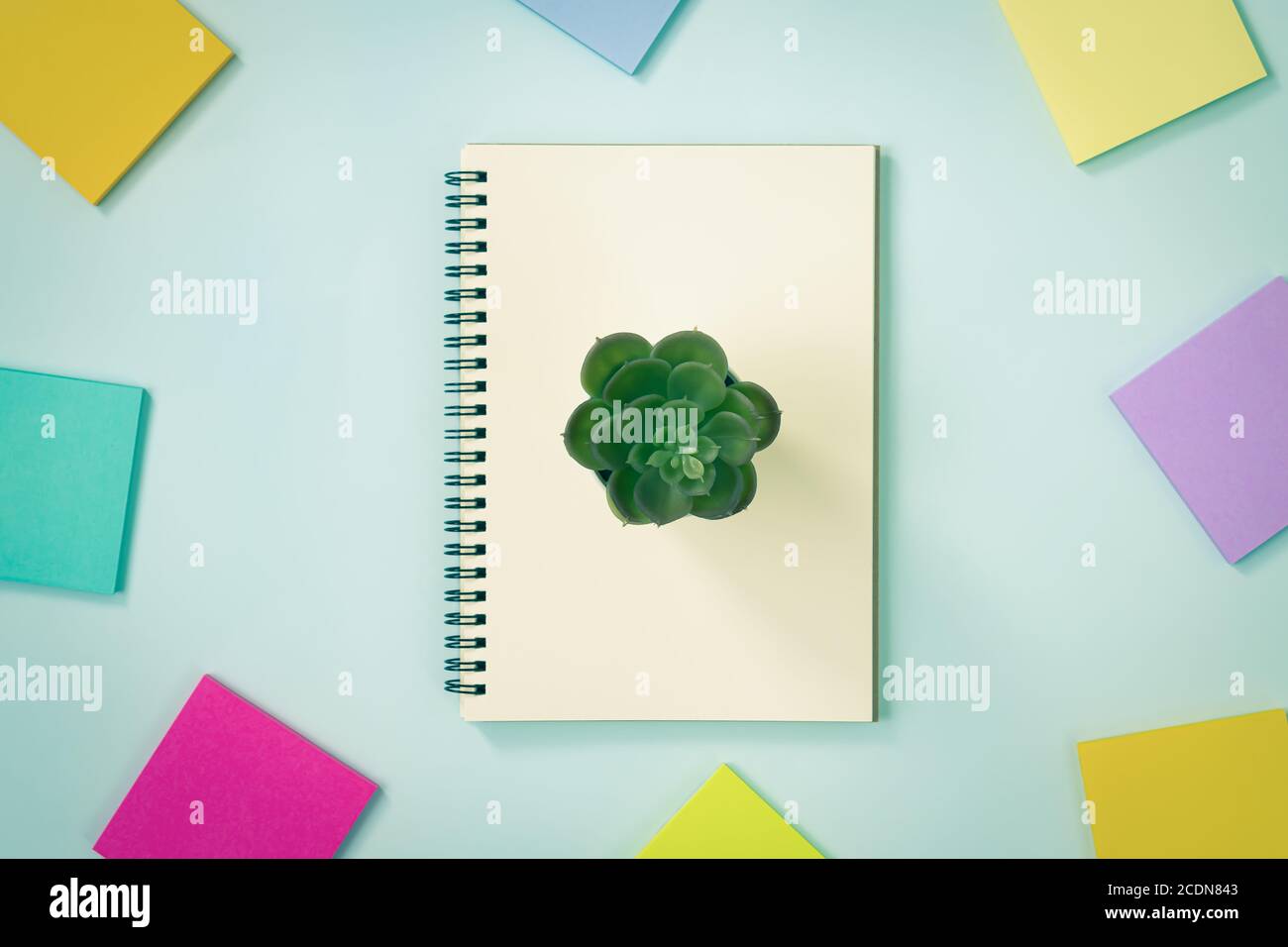 Spiral Notebook or Spring Notebook in Unlined Type and Multi Color ...