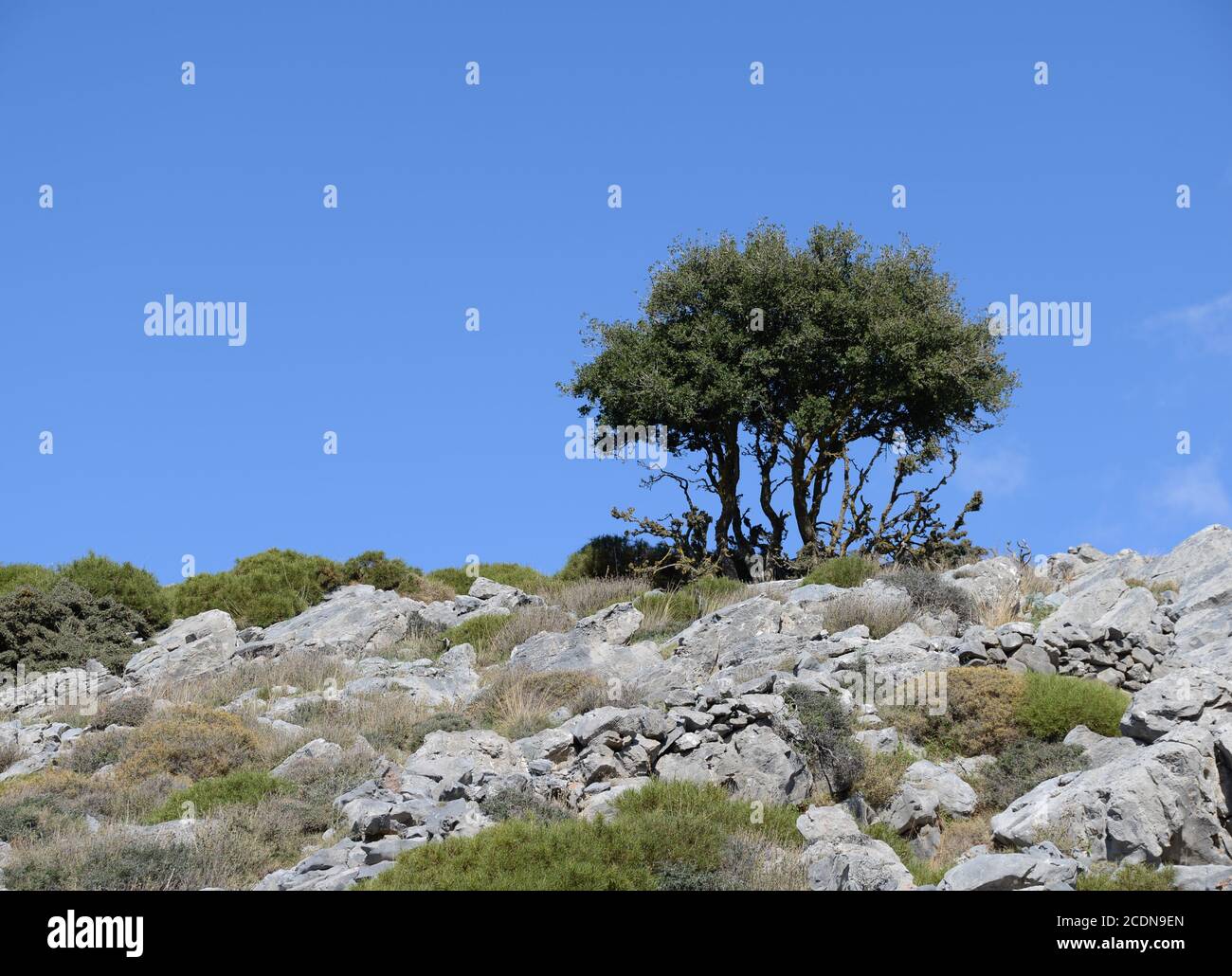 Tzermiado hi-res stock photography and images - Alamy
