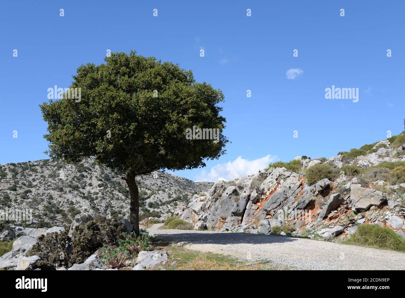 Tzermiado hi-res stock photography and images - Alamy