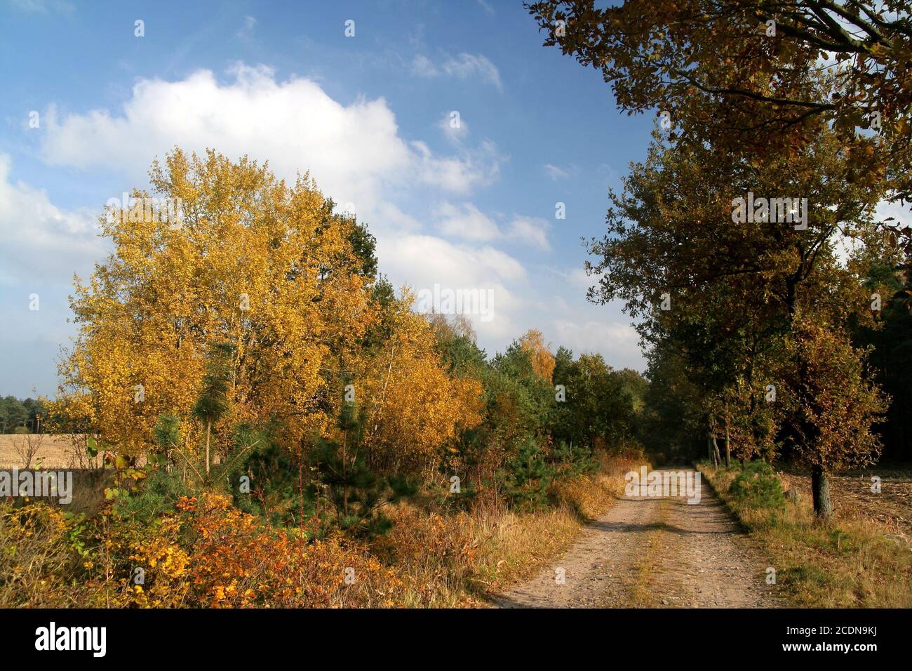 october in northern germany Stock Photo - Alamy