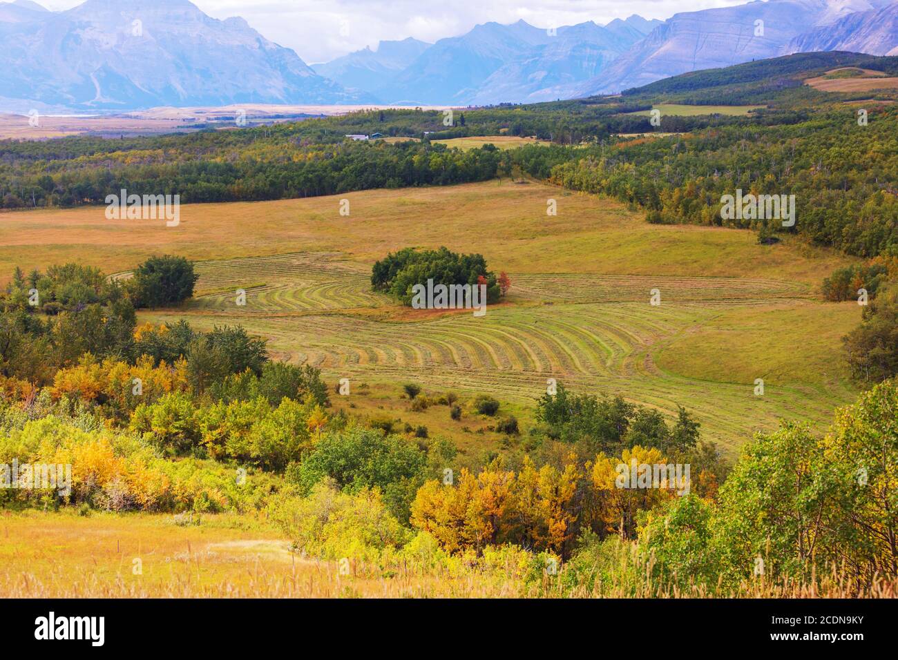 Yellow and orange fields in fall season Stock Photo - Alamy
