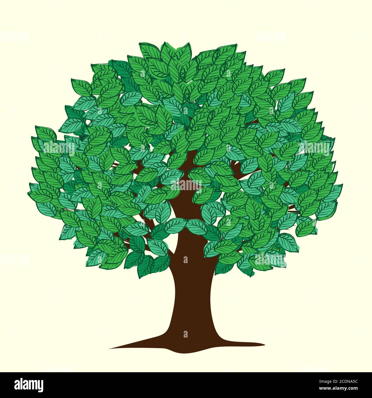 Big tree with green leaves Stock Photo - Alamy