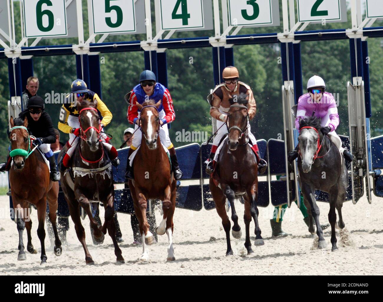 Horse imprint hi-res stock photography and images - Alamy