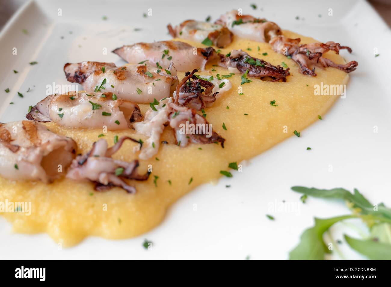 Grilled cuttlefish with polenta and salad. Typical italian fish dish of ...