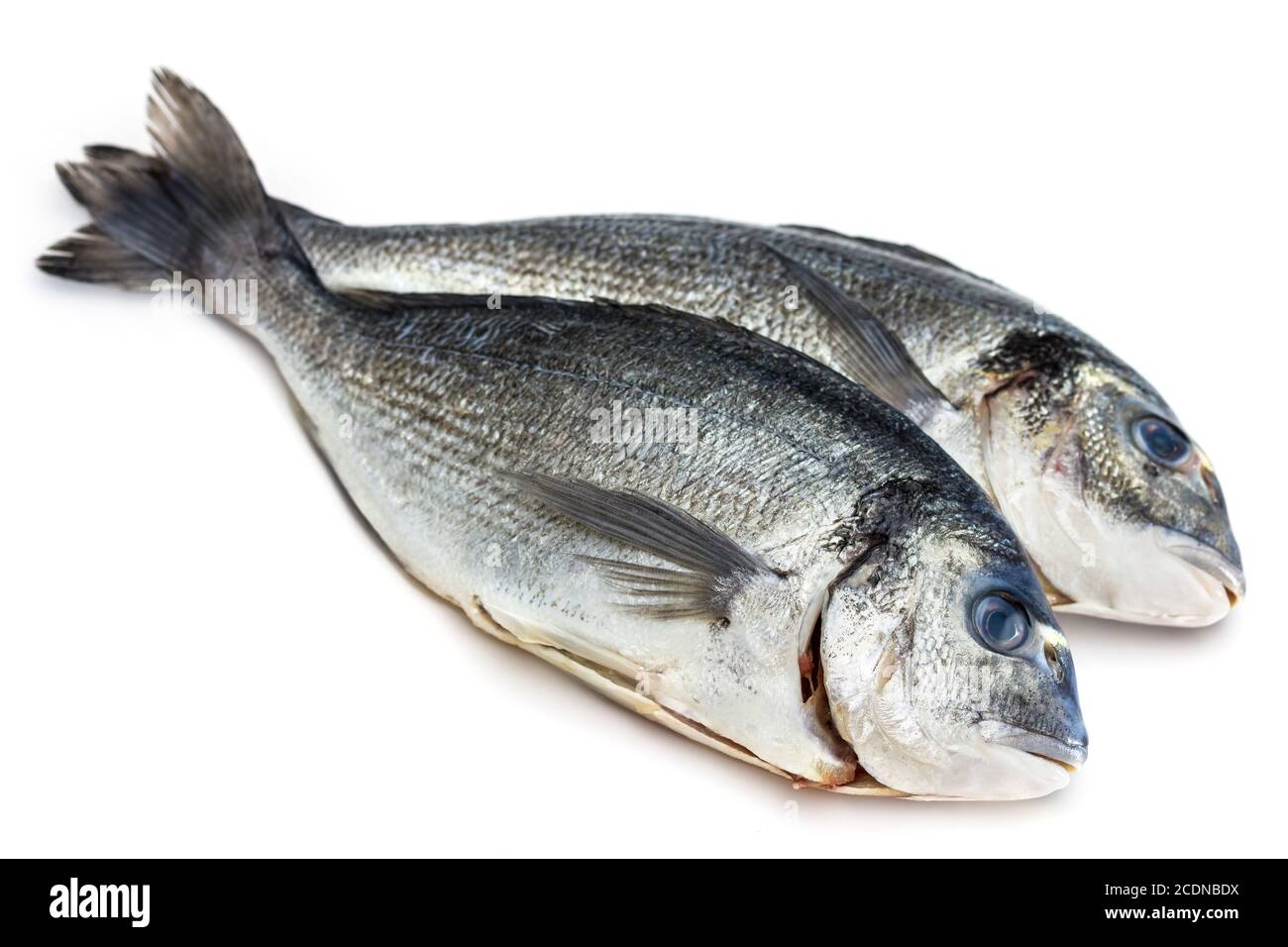 Bream Cut Out Stock Images & Pictures - Alamy