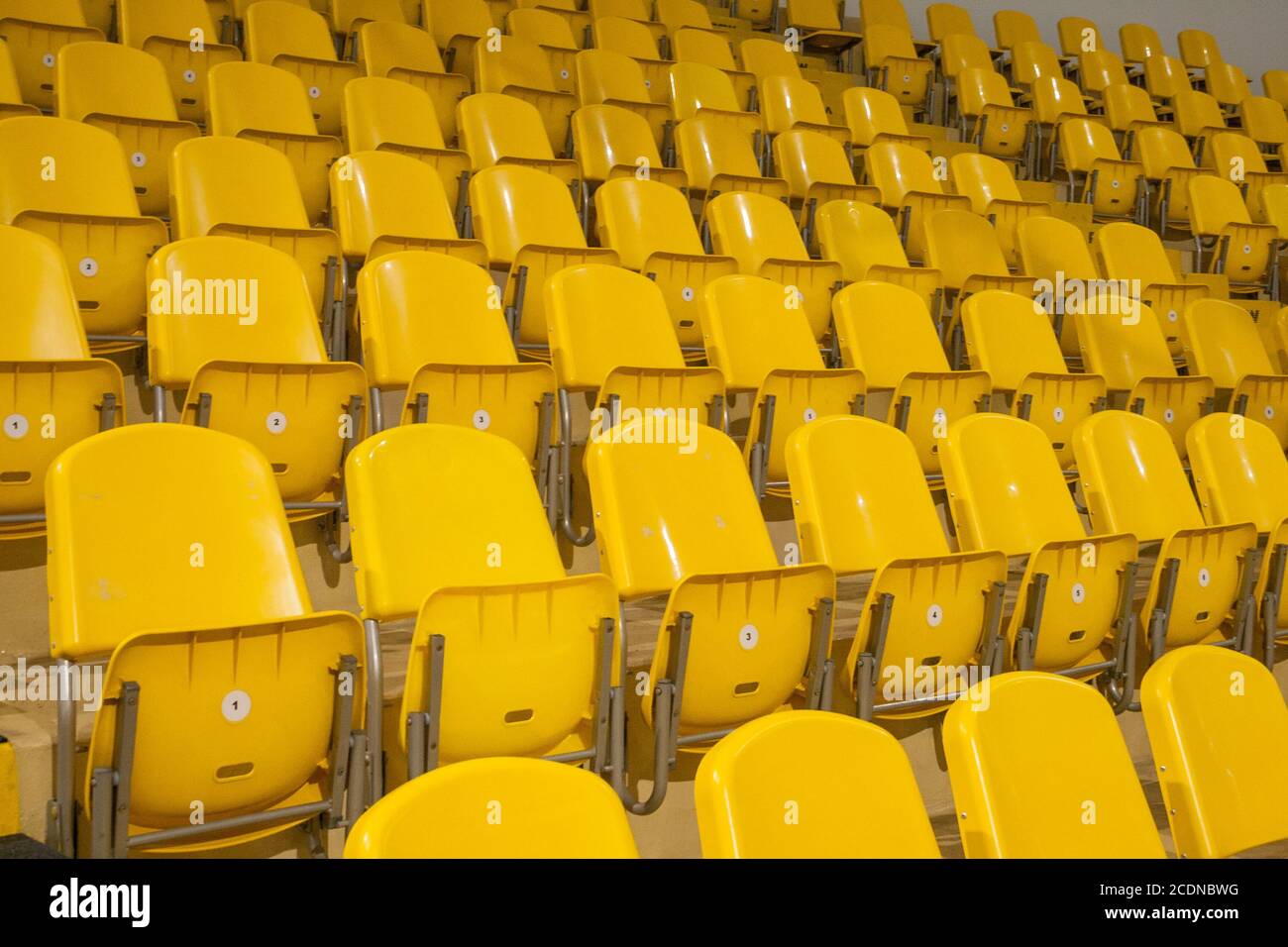 Yellow seat in the stadium Stock Photo - Alamy