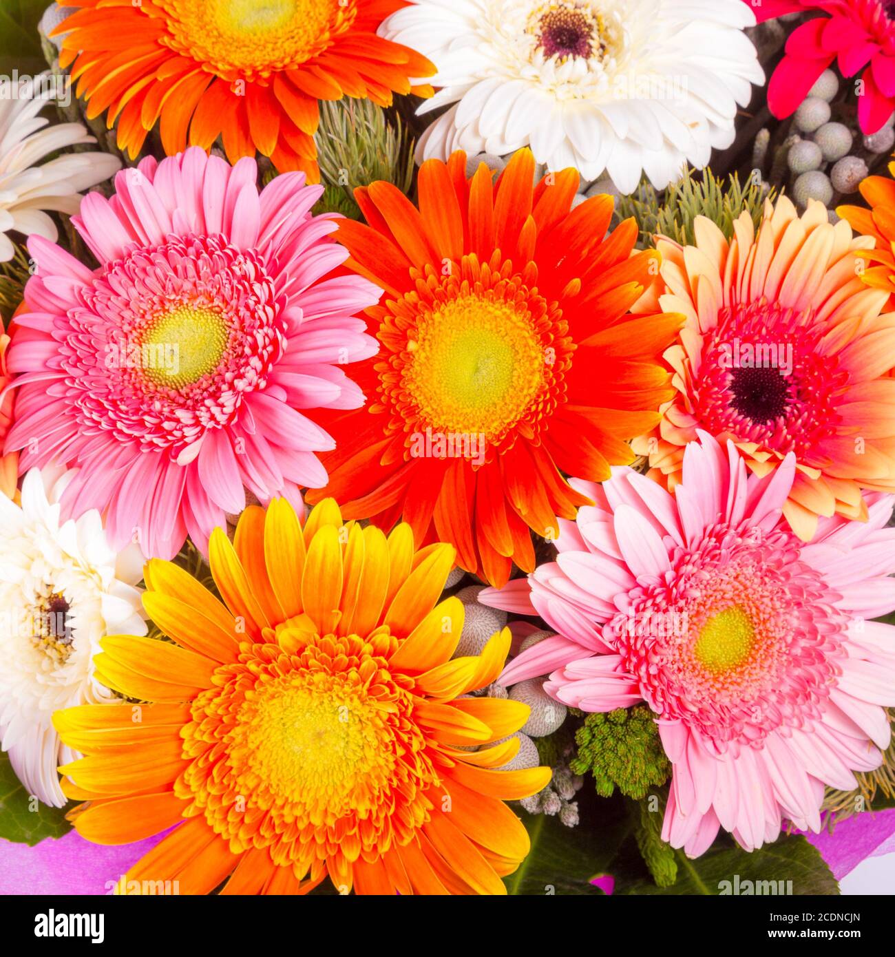 Beautiful bunch of gerberas Stock Photo - Alamy