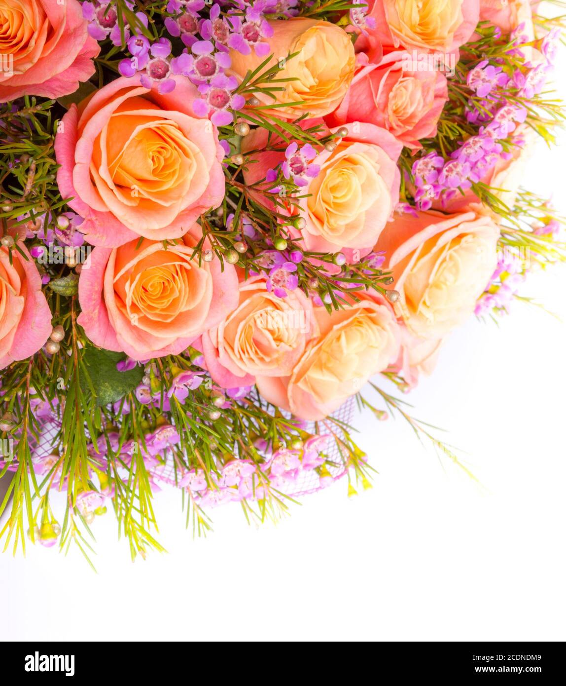 Abstract background of flowers. Close-up Stock Photo - Alamy