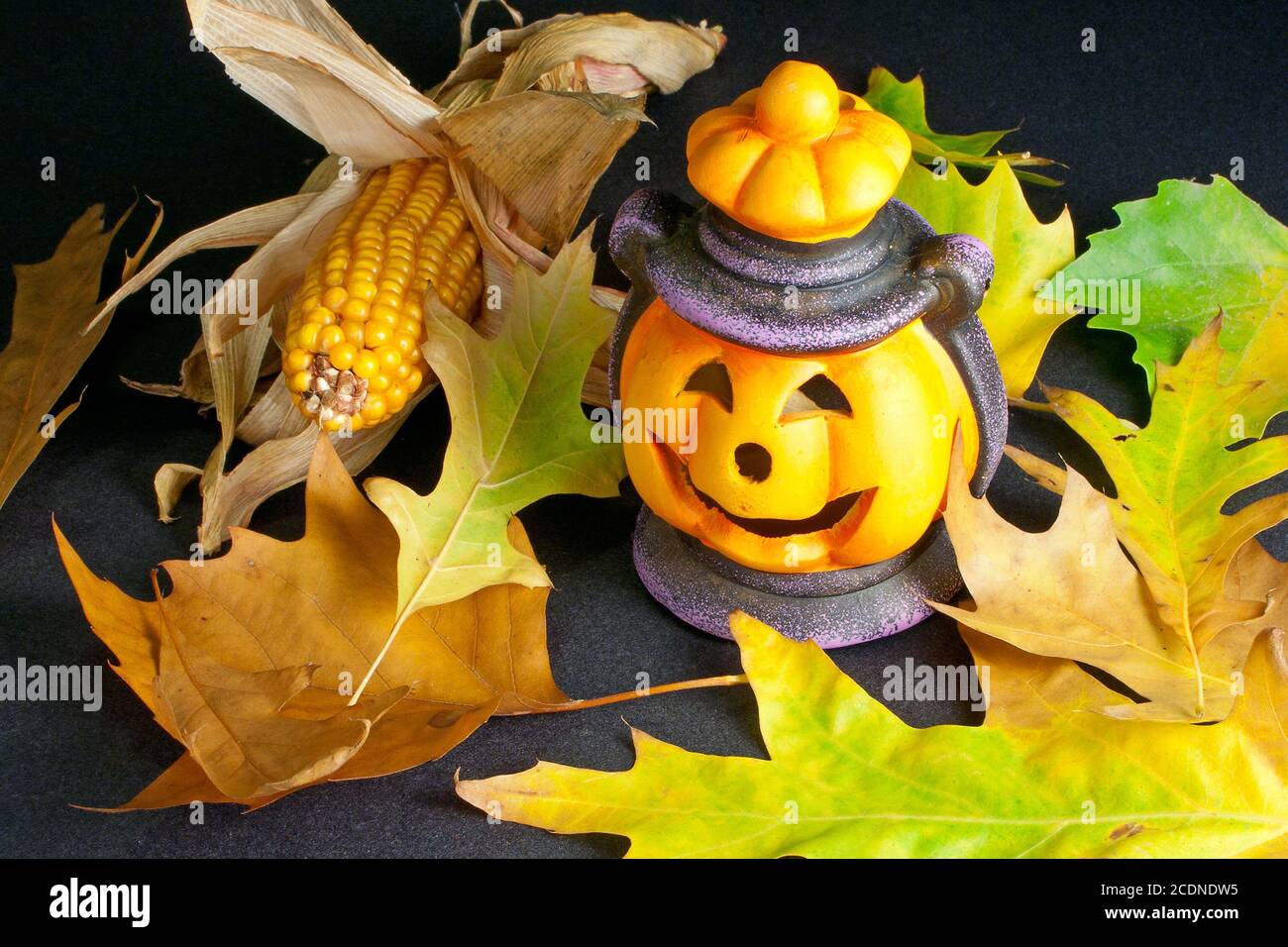 Laughing corn hi-res stock photography and images - Alamy