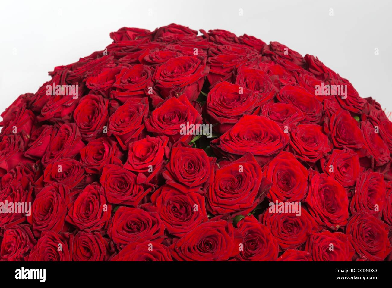 Plenty red natural roses background Stock Photo - Alamy