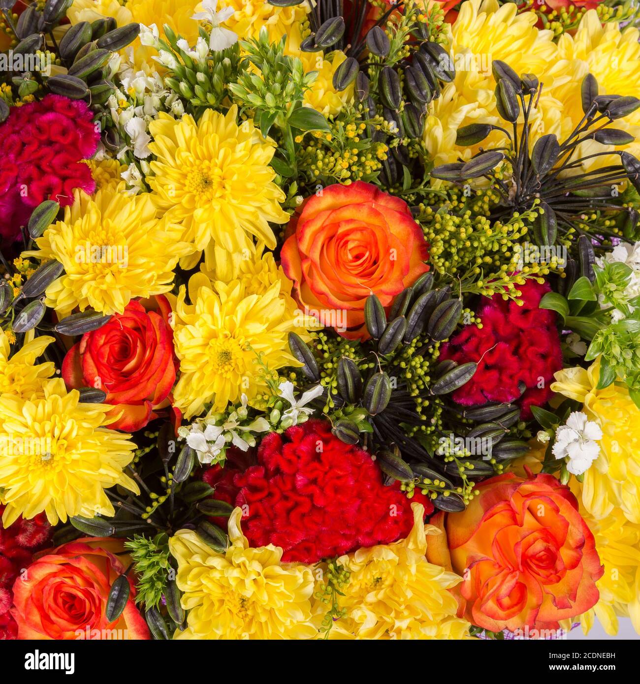 Abstract background of roses Stock Photo - Alamy