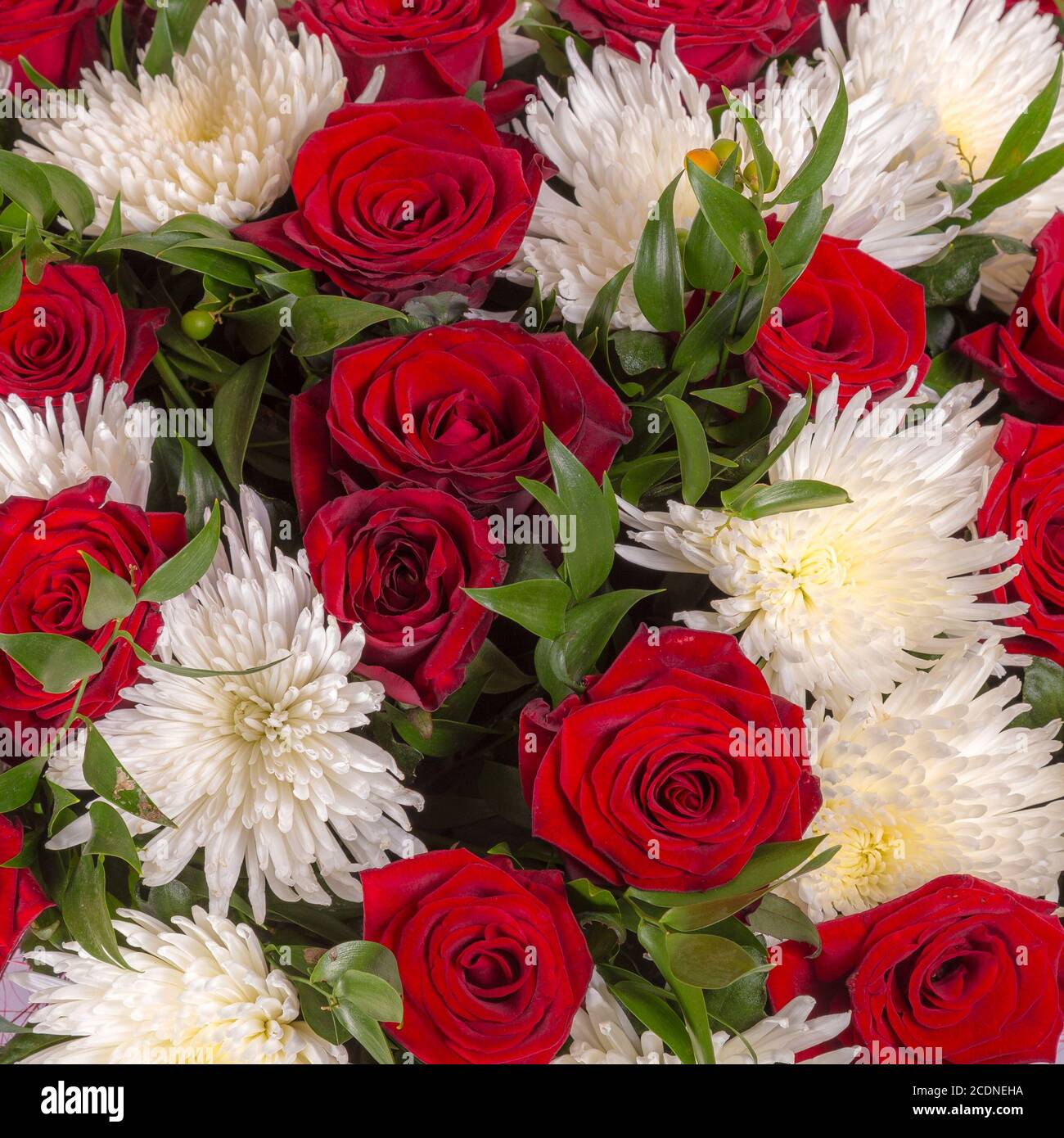 Abstract background of flowers. Close-up Stock Photo - Alamy