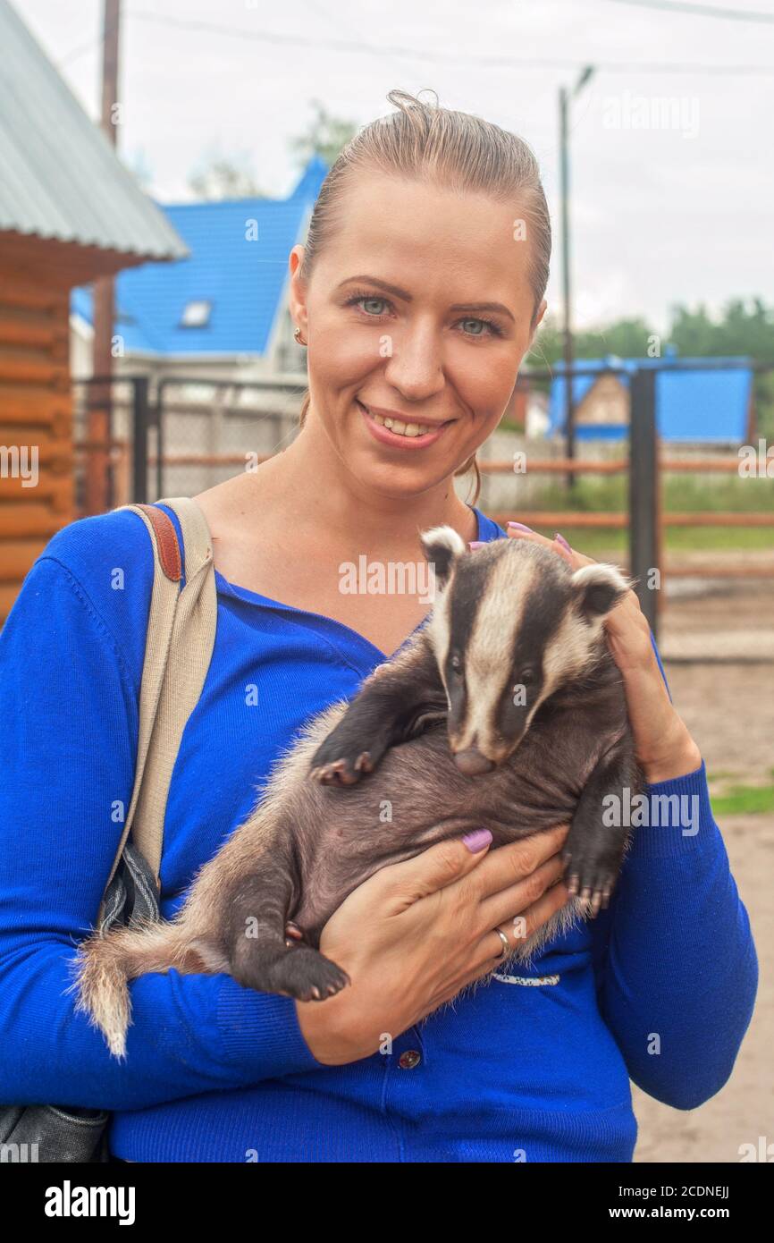 woman with badger Stock Photo - Alamy