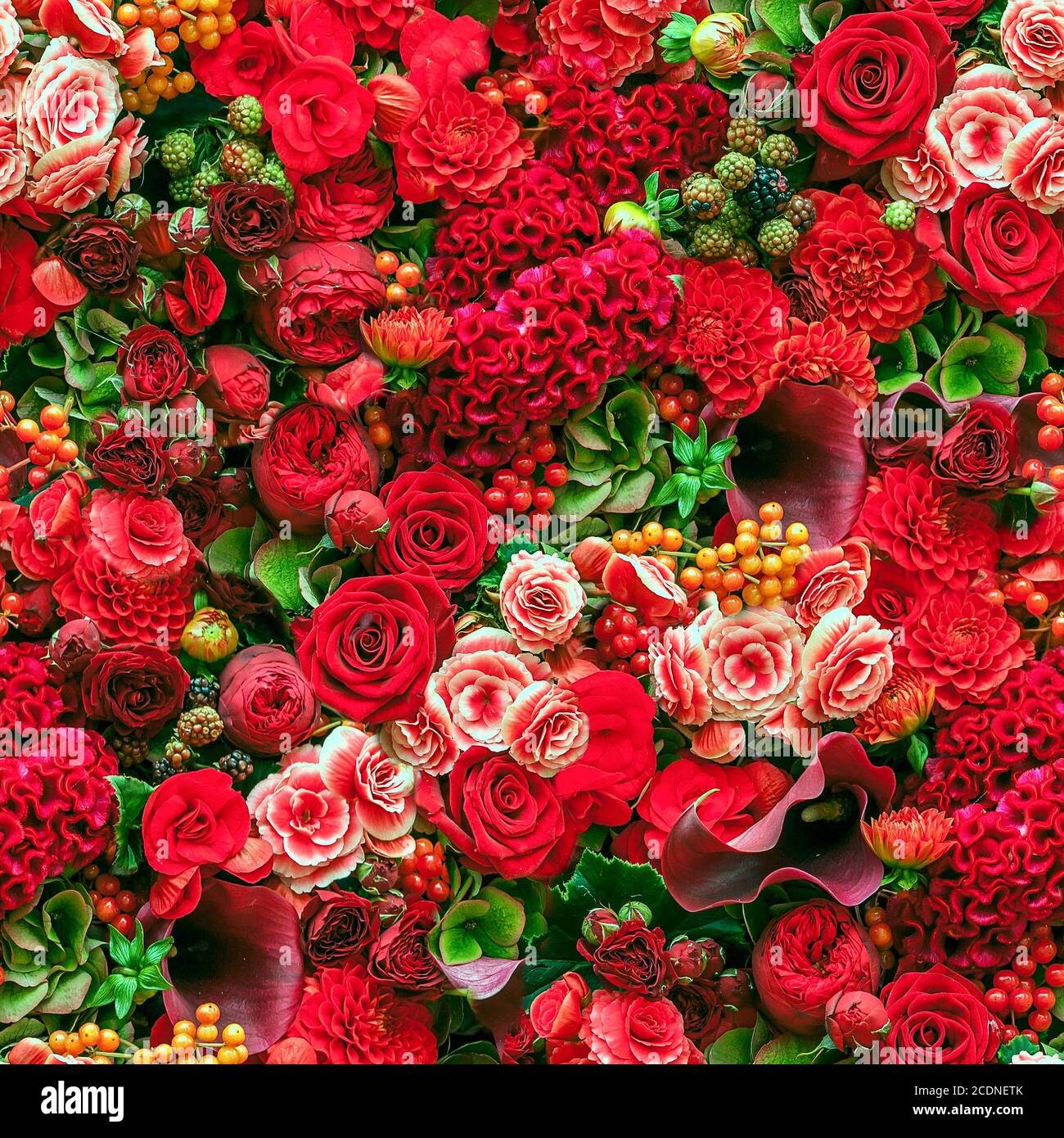 Seamless flower background Stock Photo - Alamy