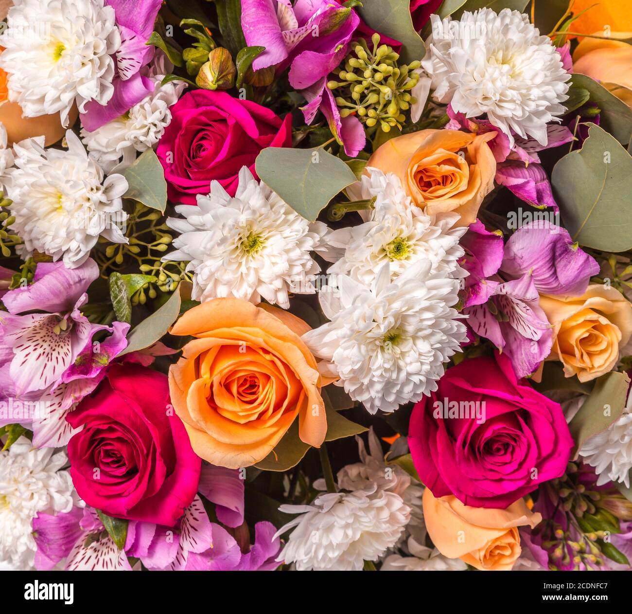 Abstract background of flowers. Close-up Stock Photo - Alamy