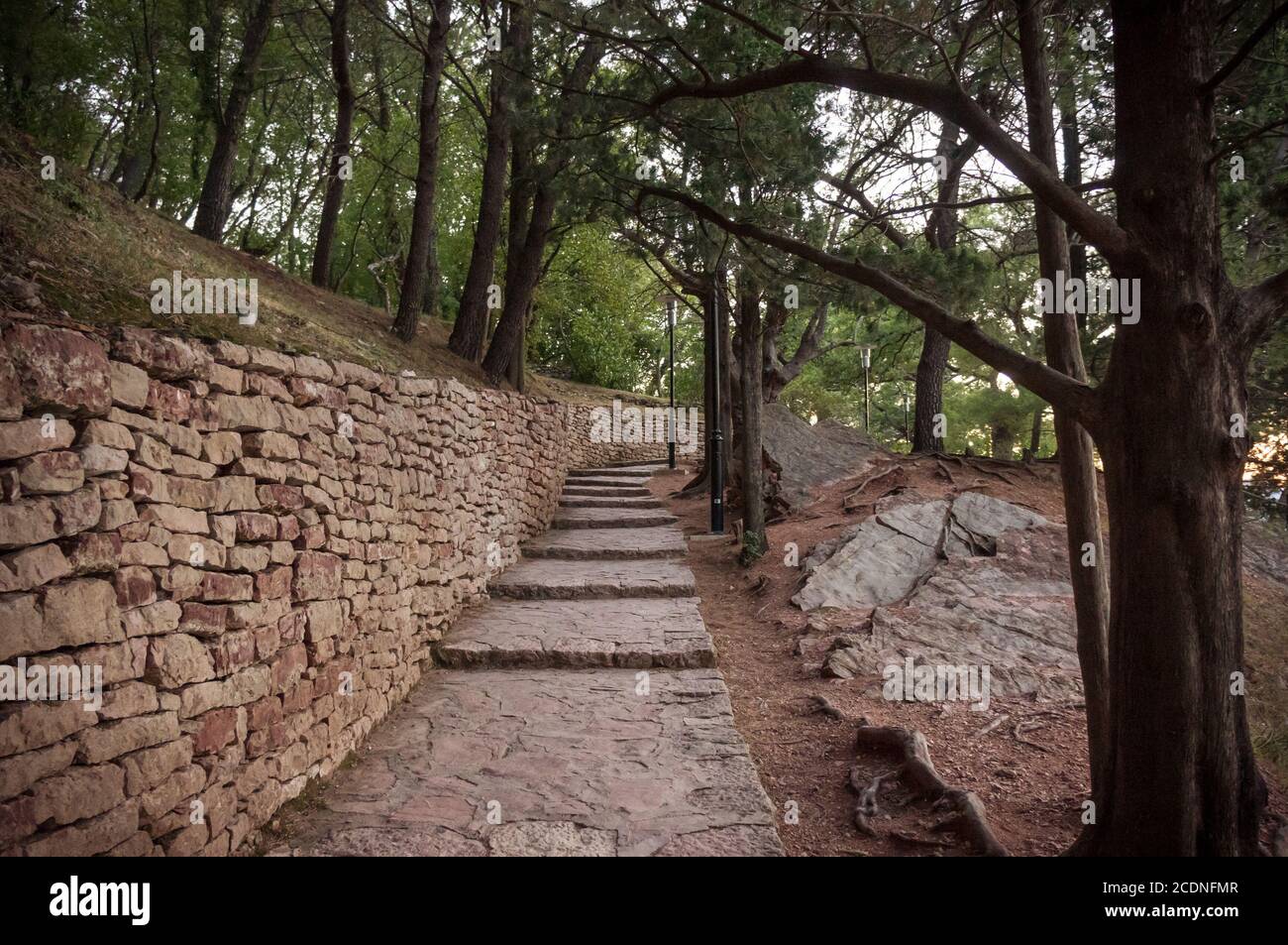 Old steps in the park Stock Photo - Alamy