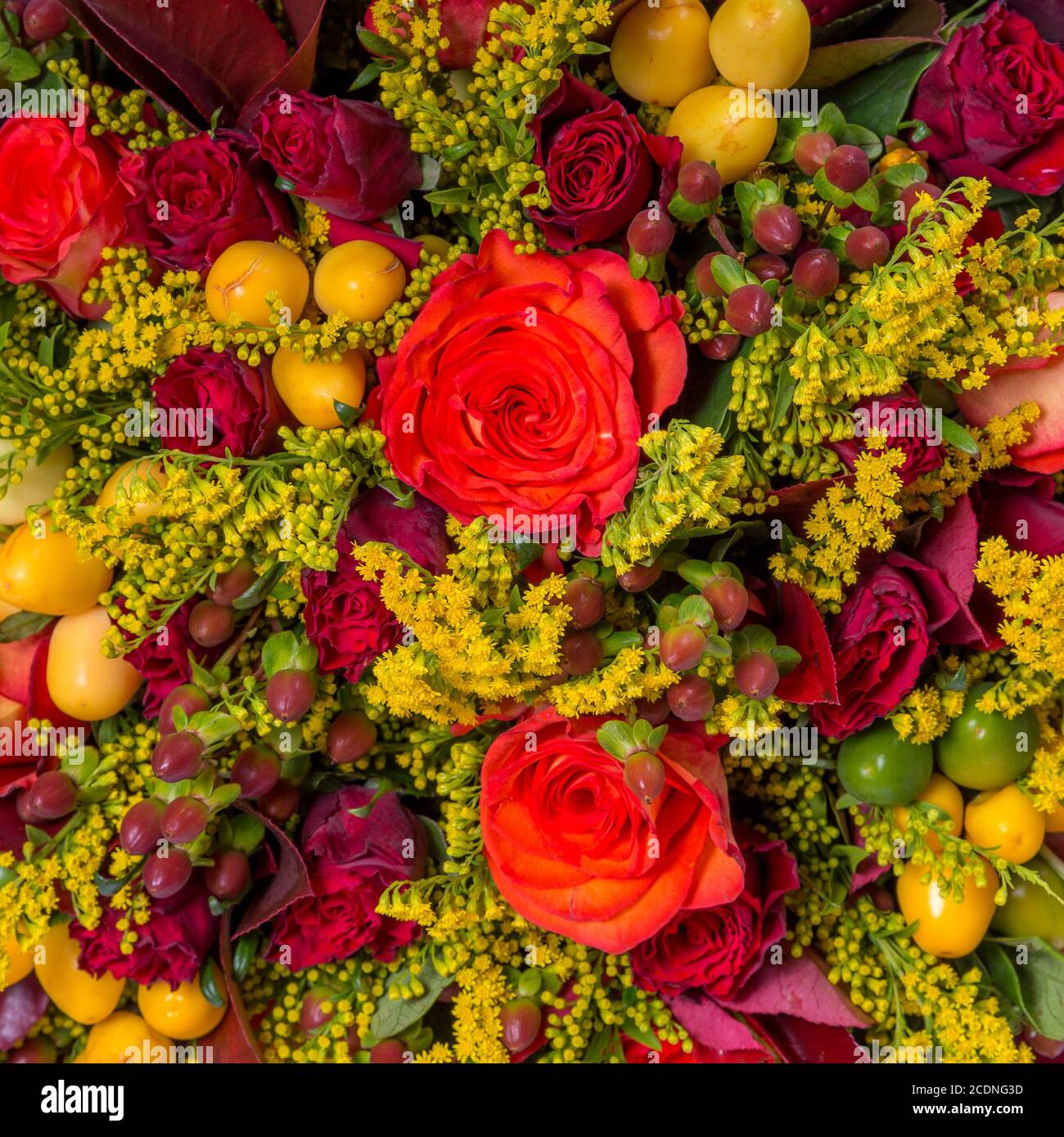 Abstract background of roses Stock Photo - Alamy