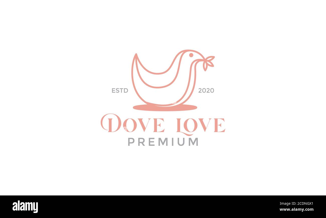 doves or pigeon bird minimalist line logo design modern Stock Vector Image & Art - Alamy