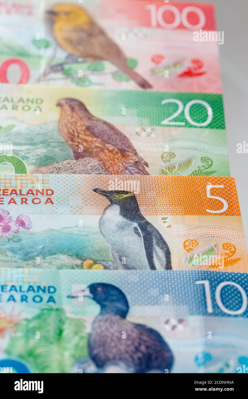 Various Banknotes of New Zealand. Party with a bird. Vertical photo ...