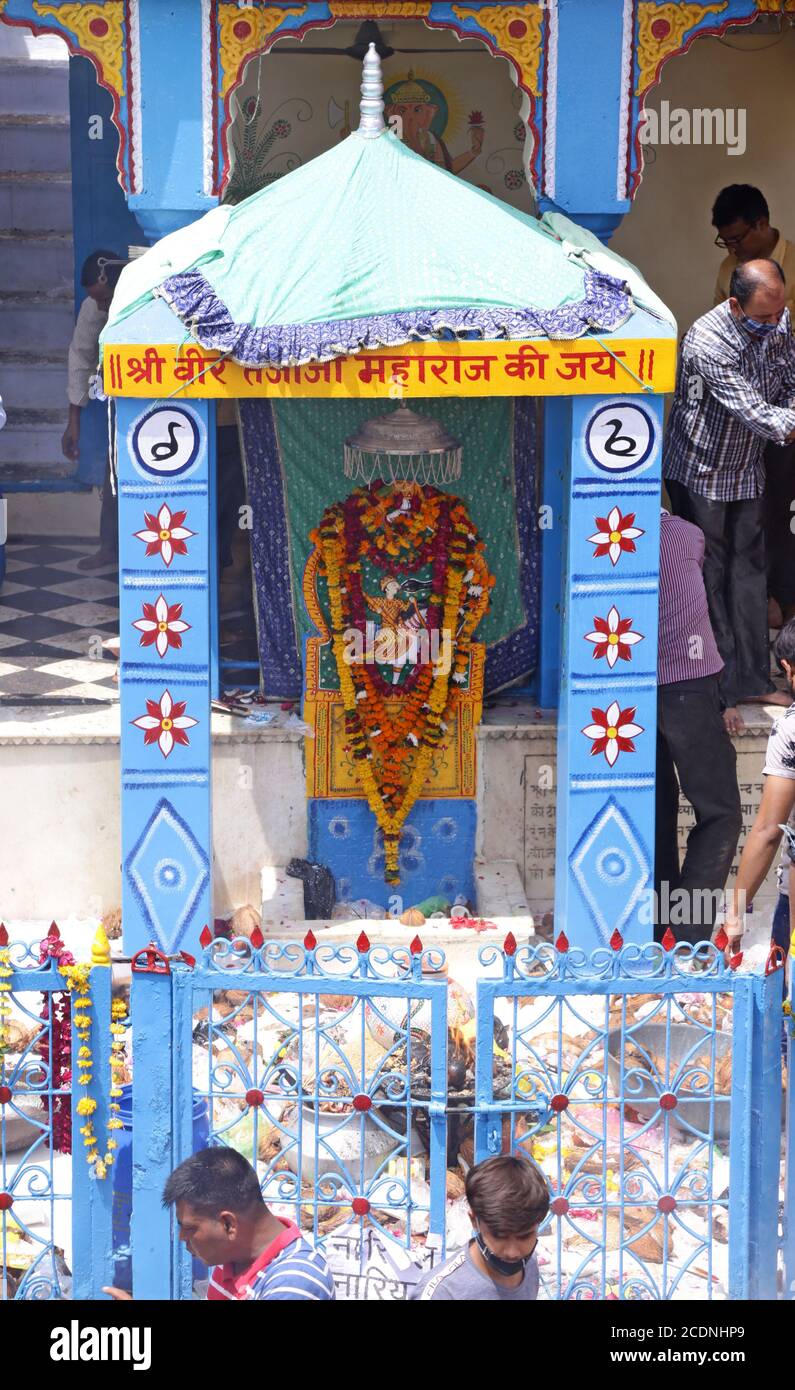 Teja dashami hi-res stock photography and images - Alamy