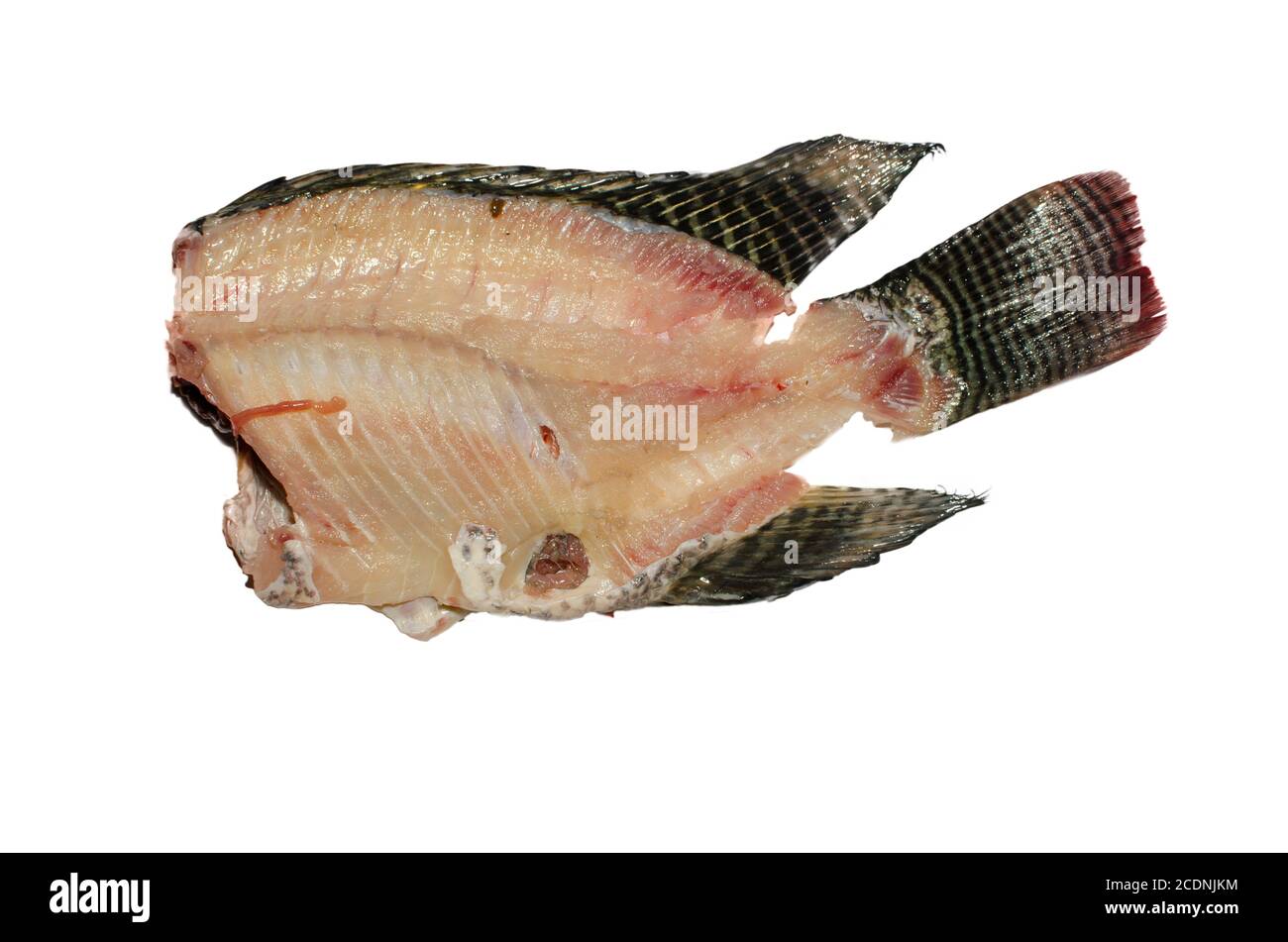 Fishbone texture hi-res stock photography and images - Alamy