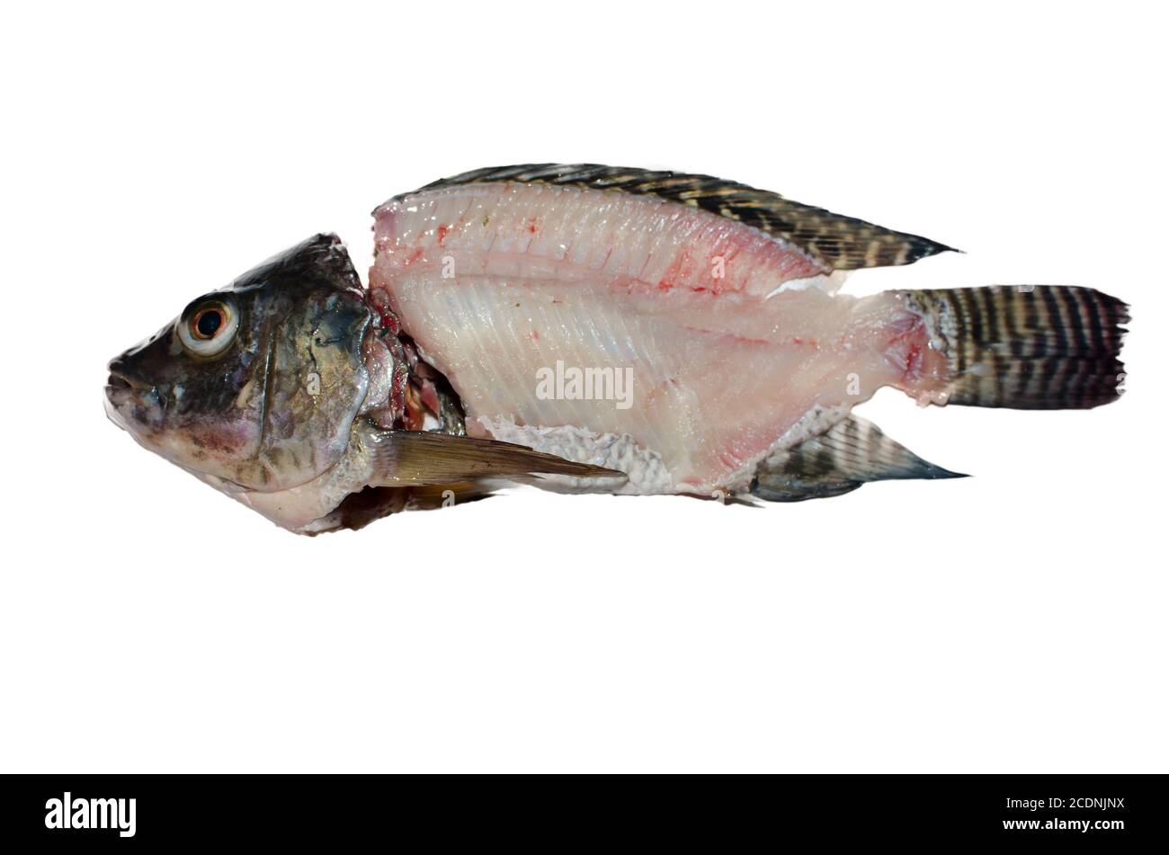 Fishbone texture hi-res stock photography and images - Alamy