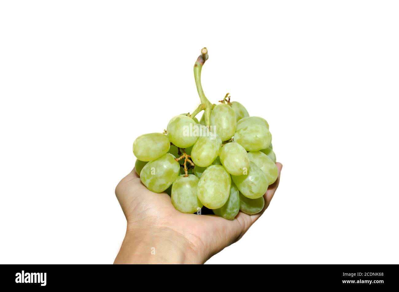 hand green grapes Stock Photo - Alamy