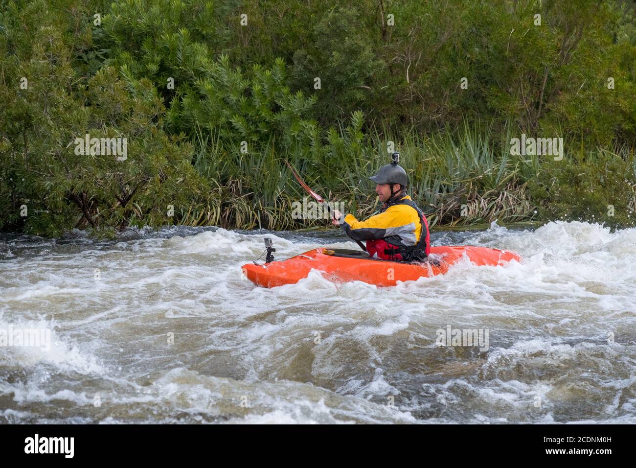 Image of a kayaker in an orange kayak padding through some white water ...