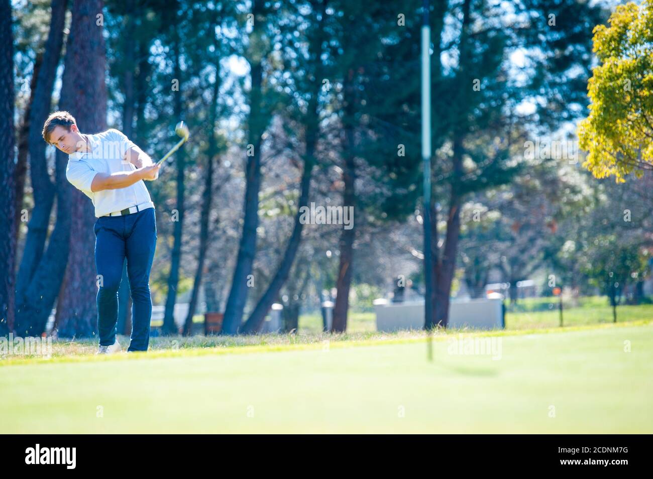 image of a golfer playing a chip shot onto the green on a golf course ...