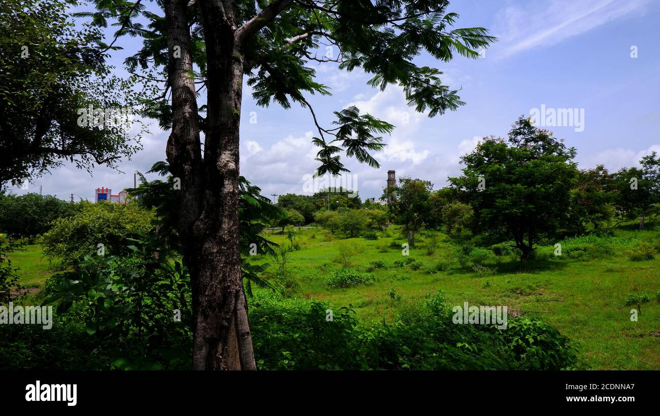 a closeup view of green landscape Stock Photo - Alamy