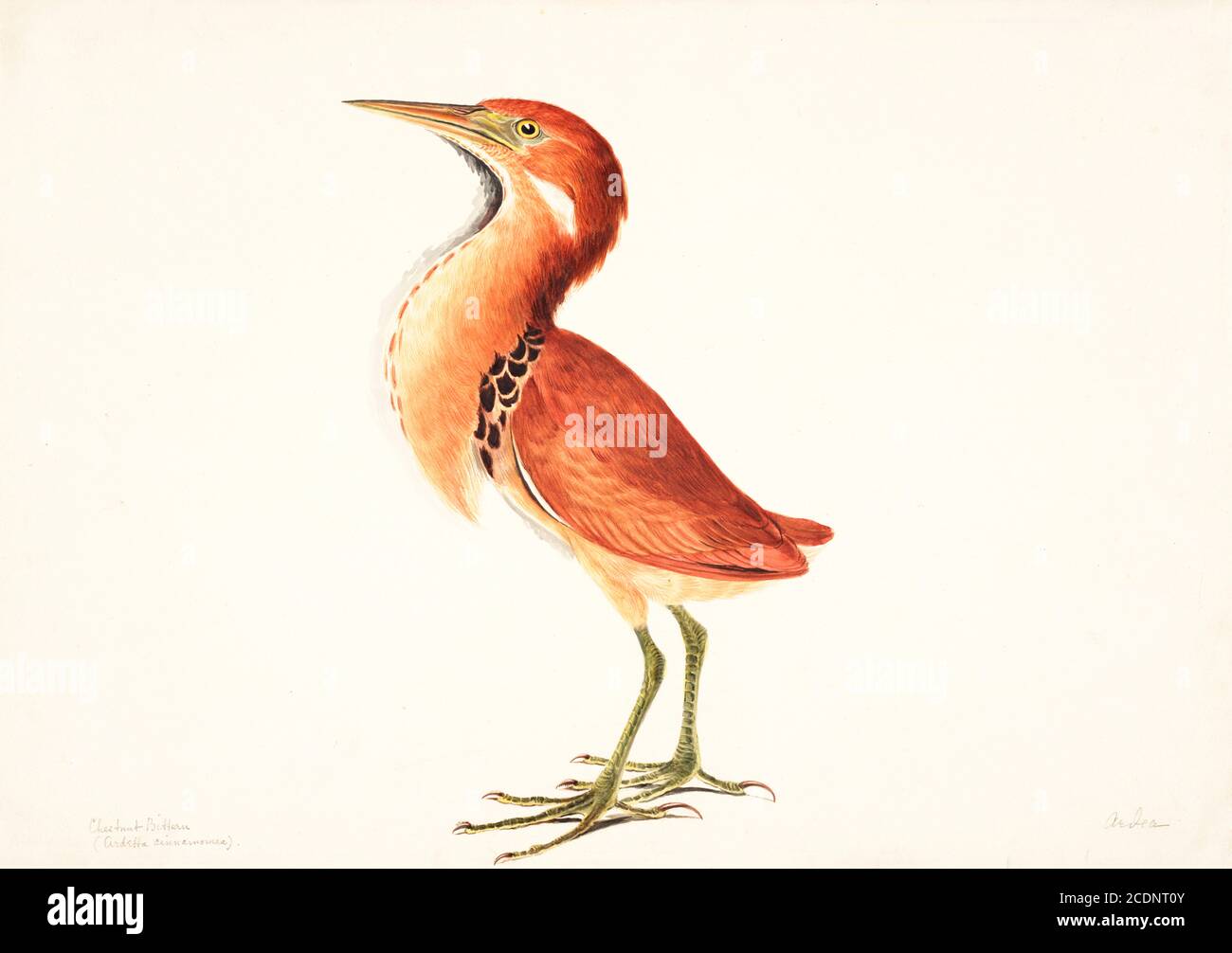 Judge distances hi-res stock photography and images - Alamy