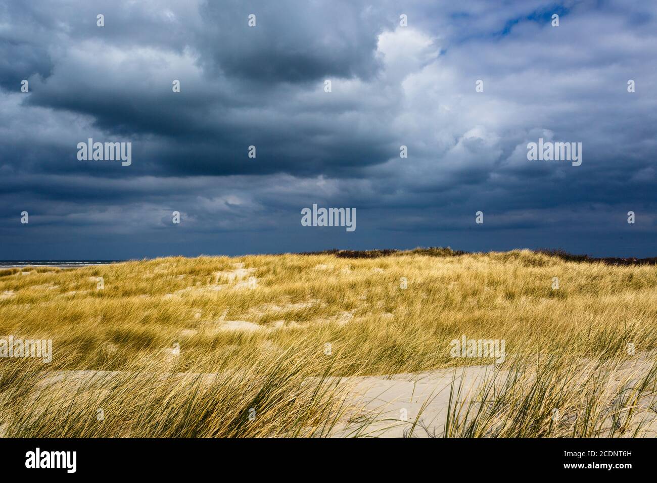 Langeoog dune landscape hi-res stock photography and images - Alamy