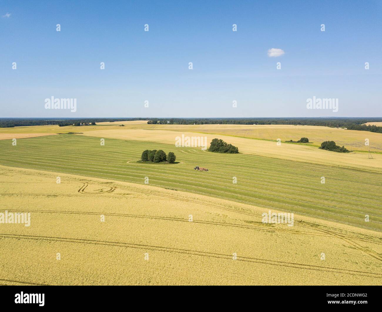 Estonian nature and landscape Stock Photo - Alamy