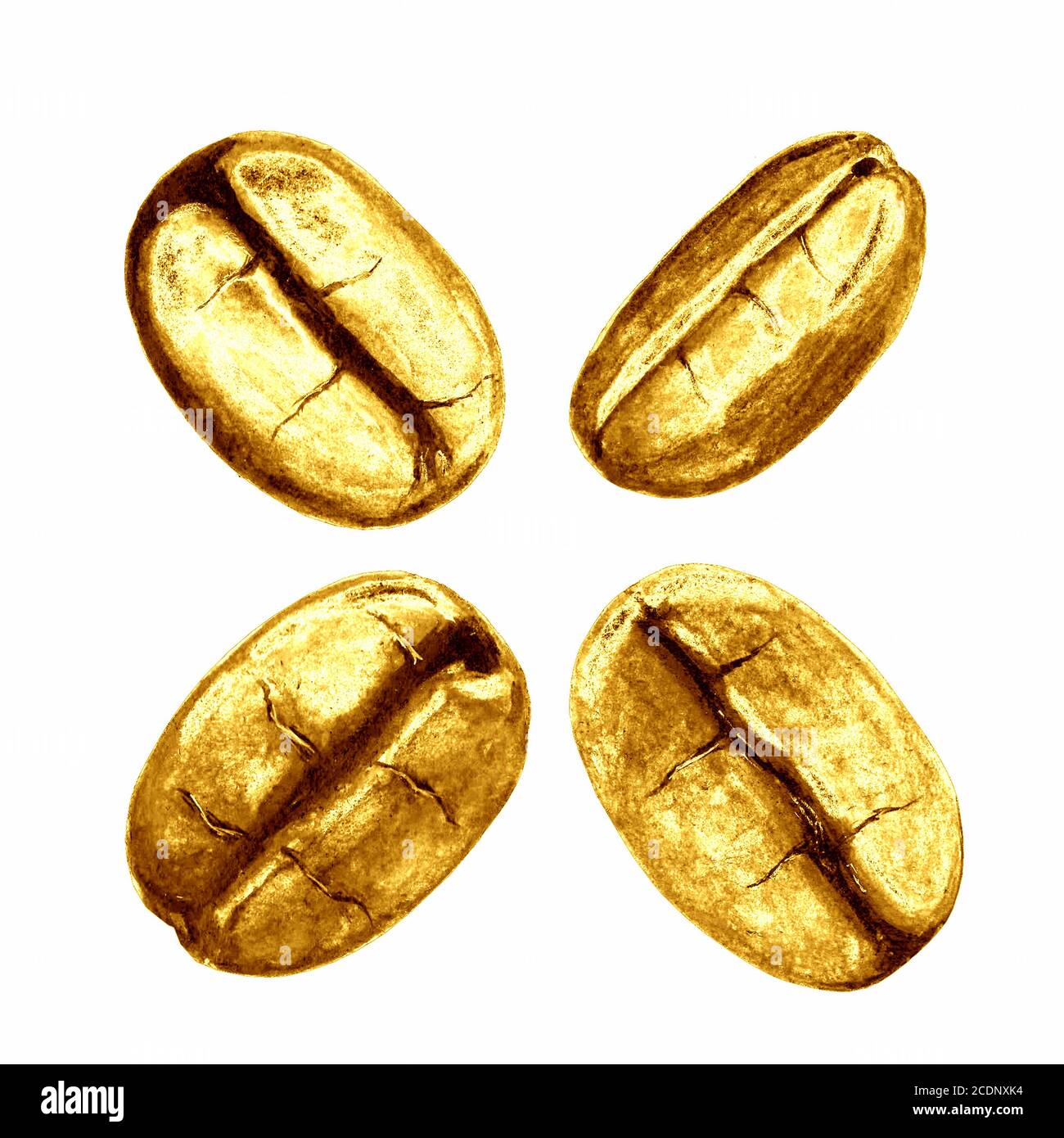Golden coffee beans set isolated on white background. Hand drawn yellow ...