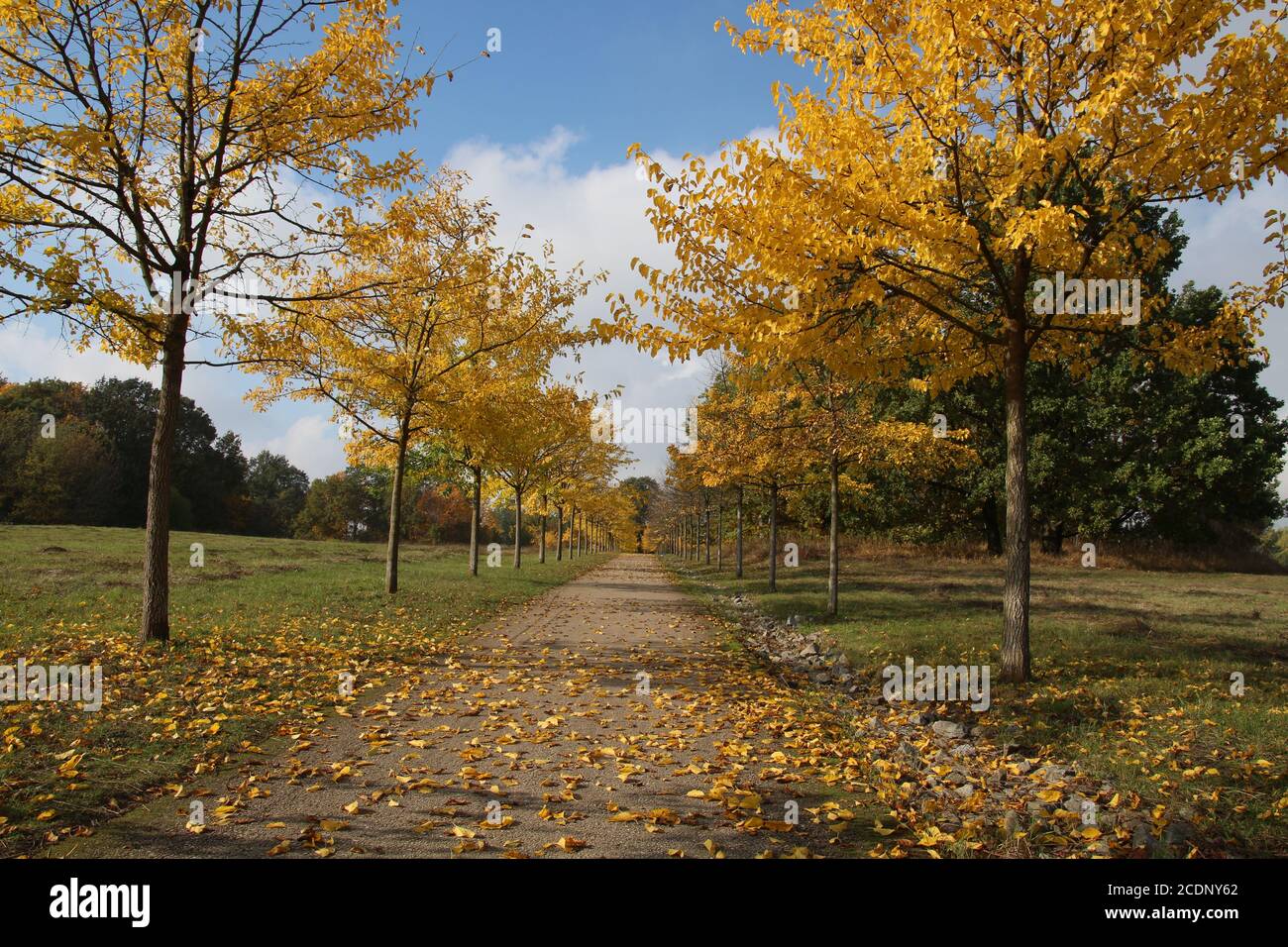 Autumn in Germany Stock Photo - Alamy