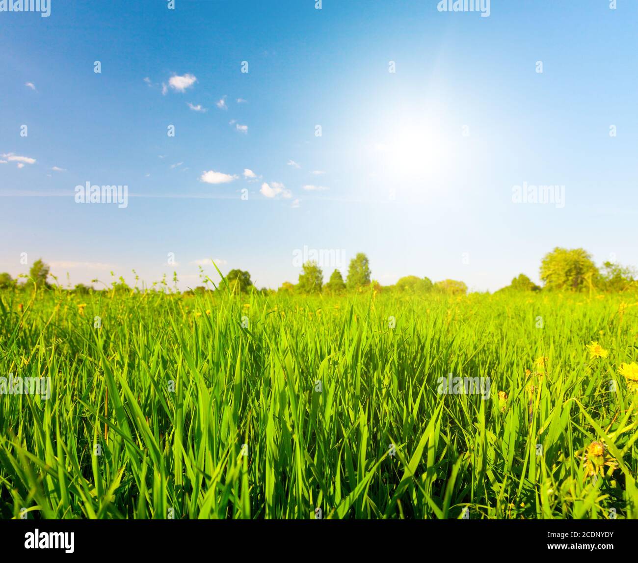Lush green hill under hi-res stock photography and images - Alamy