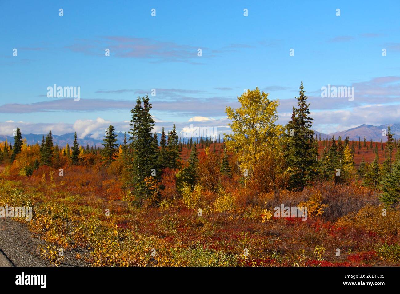 Autumn landscape in Denali National Park when the weather is nice in ...