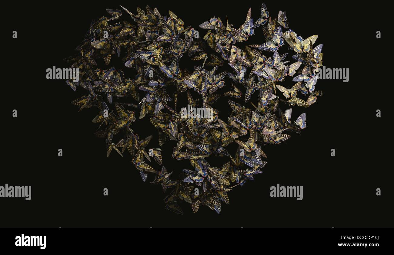 Black butterfly flight hi-res stock photography and images - Alamy