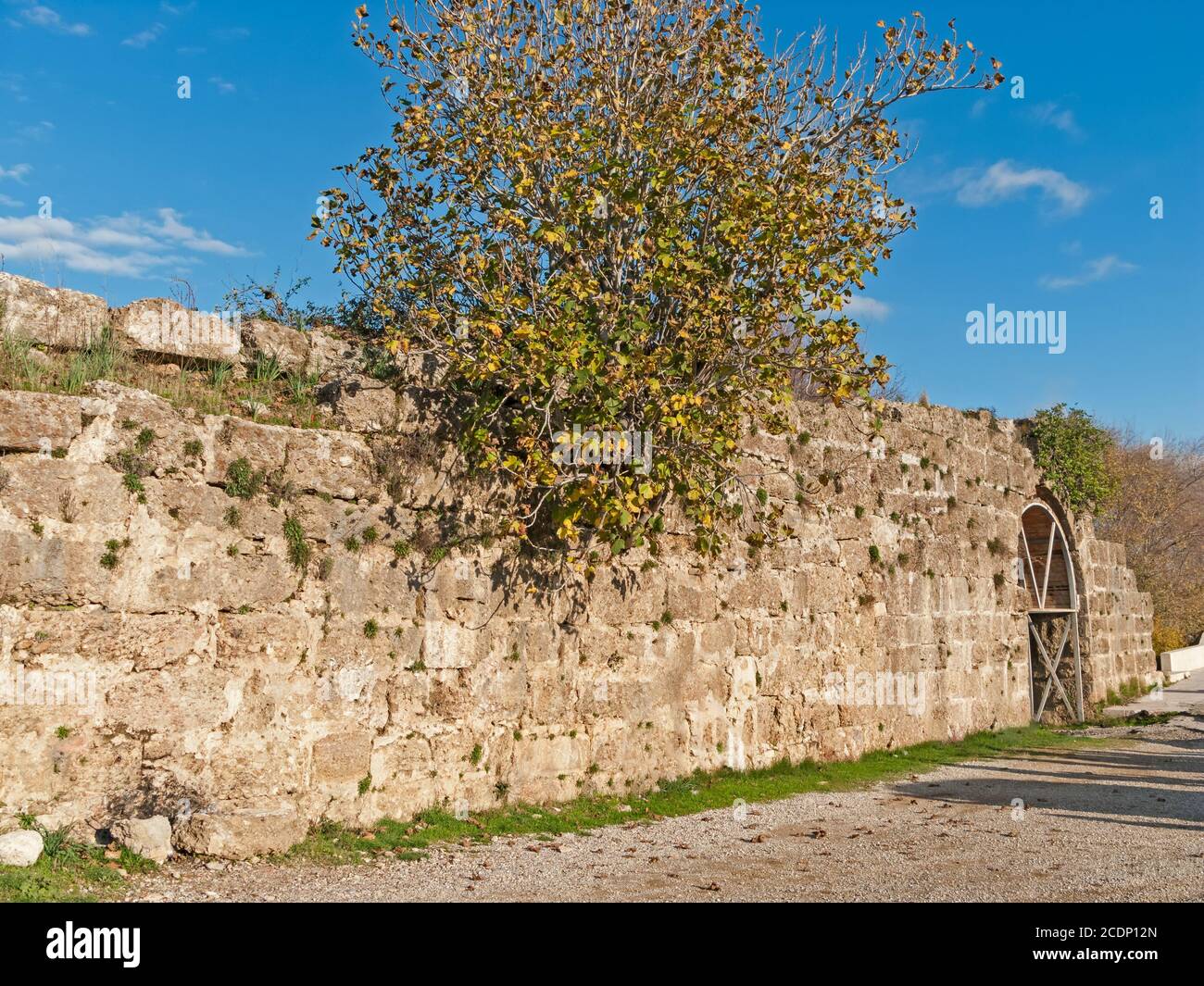 Bridge fig hi-res stock photography and images - Alamy