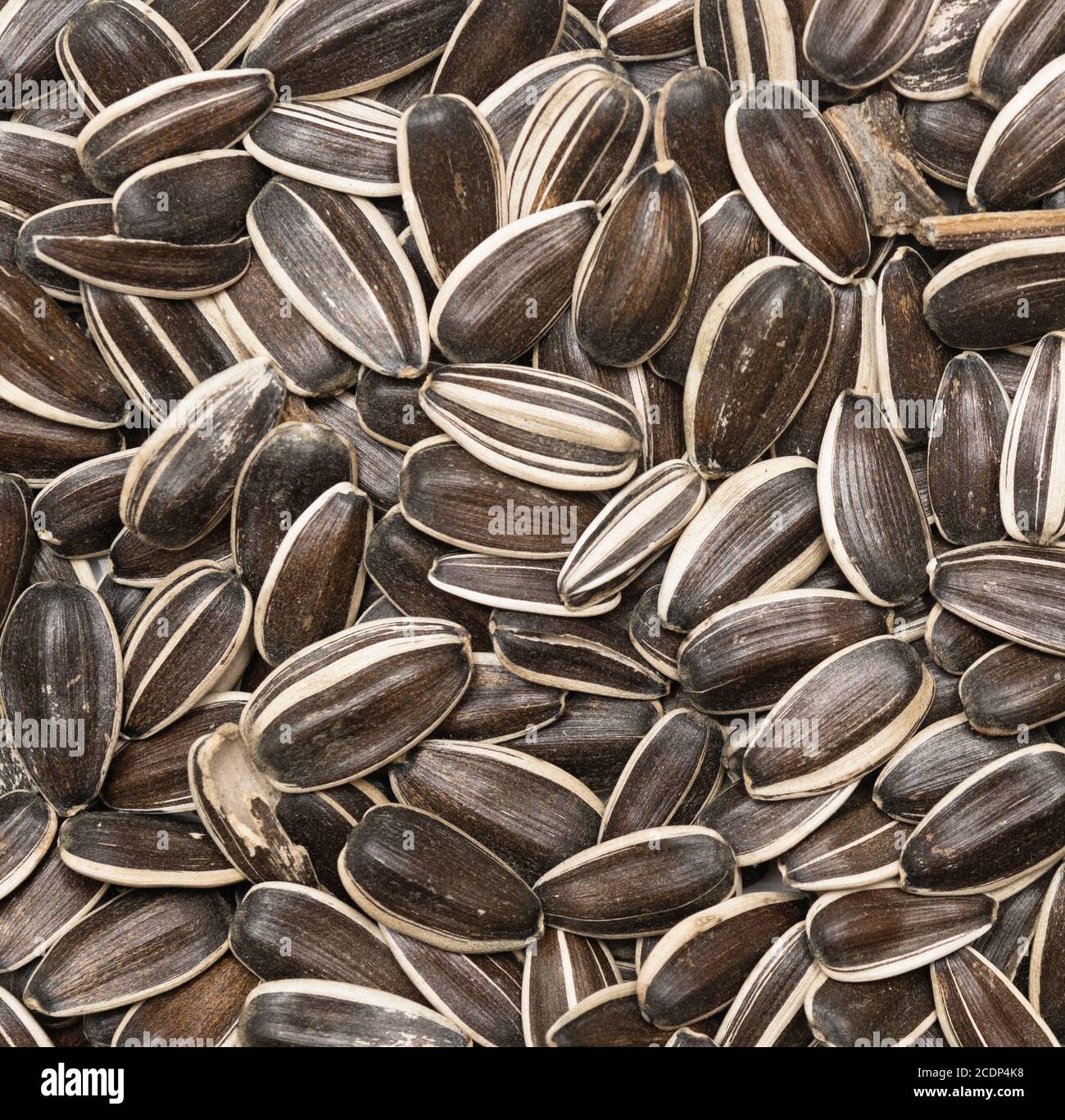 Raw healthy sunflower seeds hi-res stock photography and images - Alamy