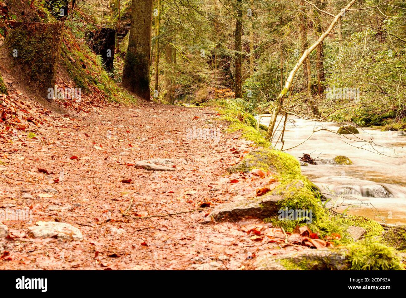 Jackobs path hi-res stock photography and images - Alamy
