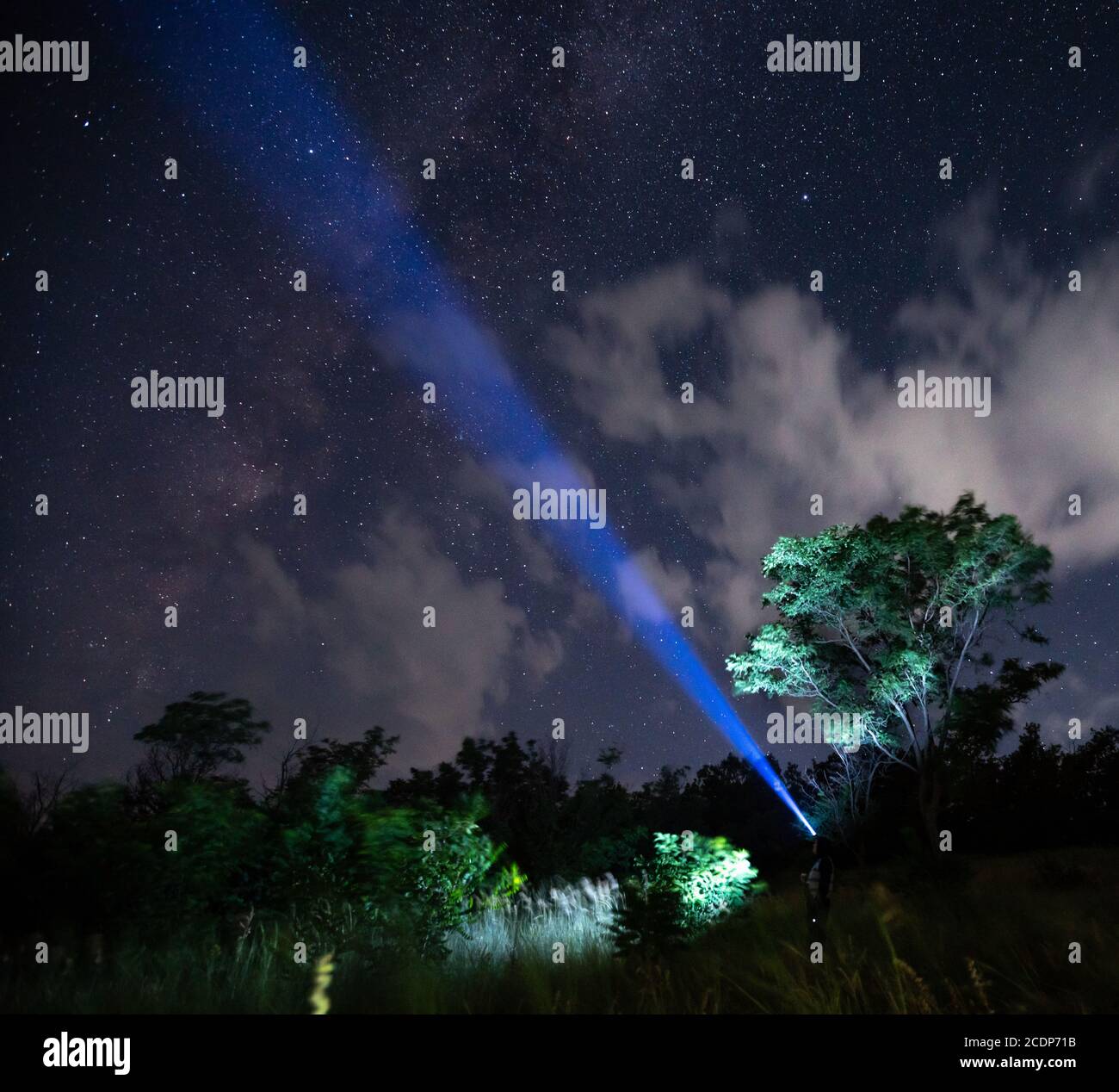 Night woods flashlight hi-res stock photography and images - Alamy