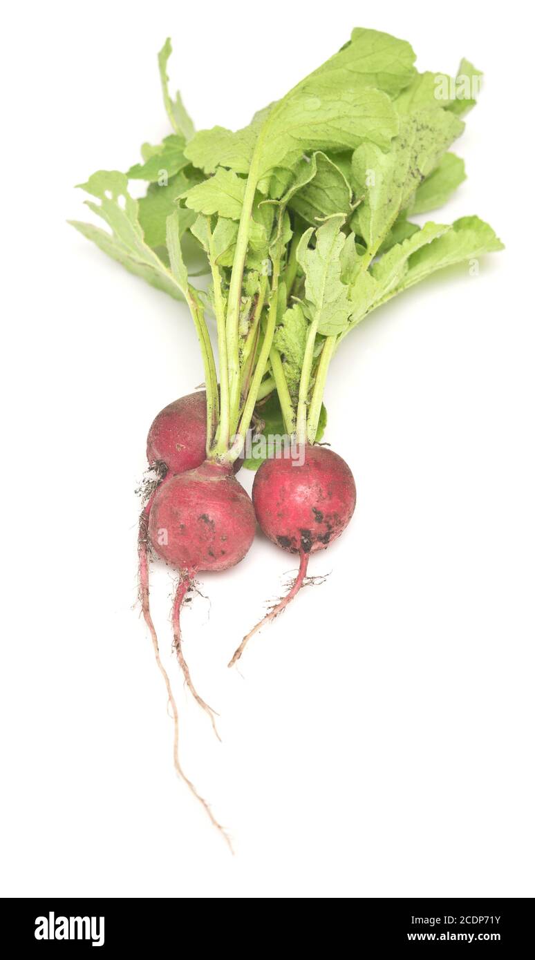 Health soil hi-res stock photography and images - Alamy