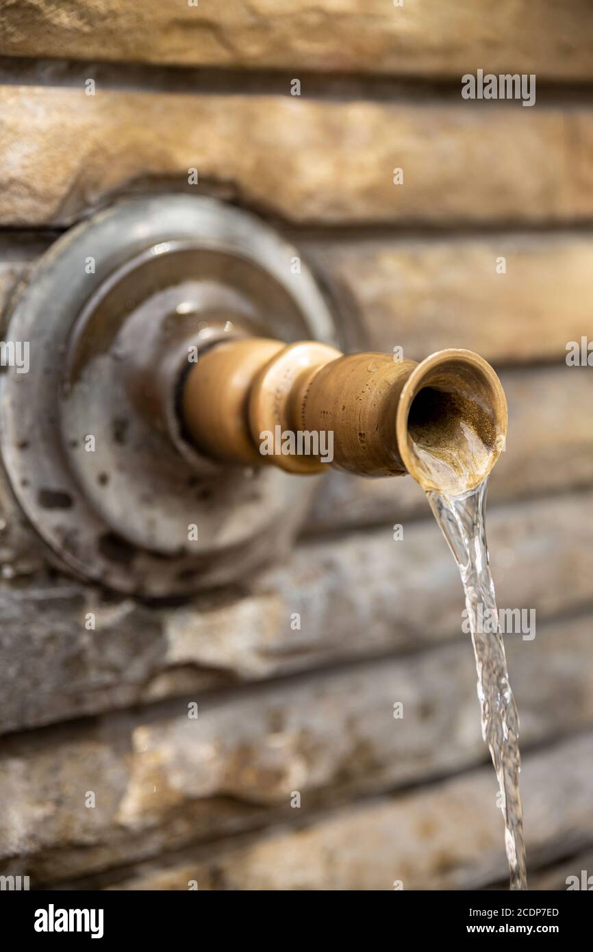 Close-up of the spout of a mountain fountain with a lion head. Spring ...