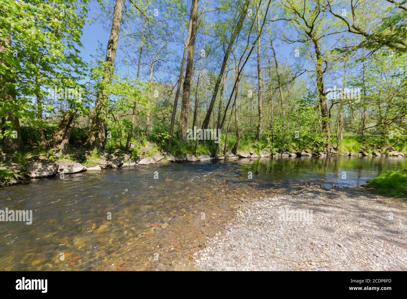 The white main hi-res stock photography and images - Alamy