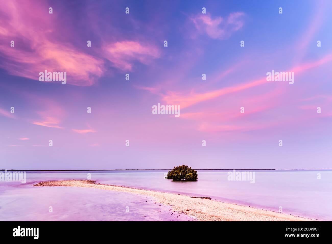 Yas island beach hi-res stock photography and images - Alamy